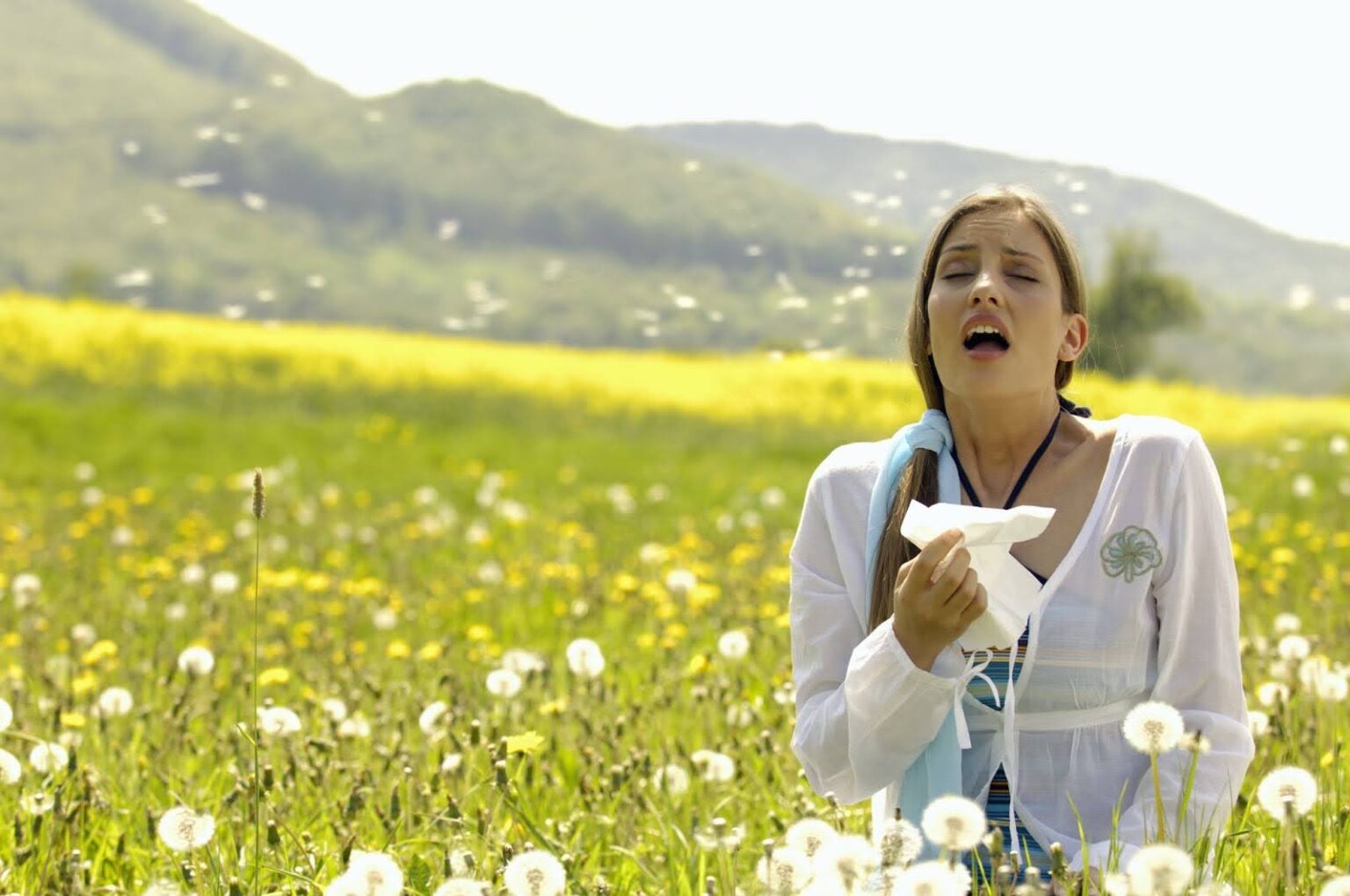 Hay Fever Relief: Medication, Causes & Signs To Know | Blog Meds For Less
